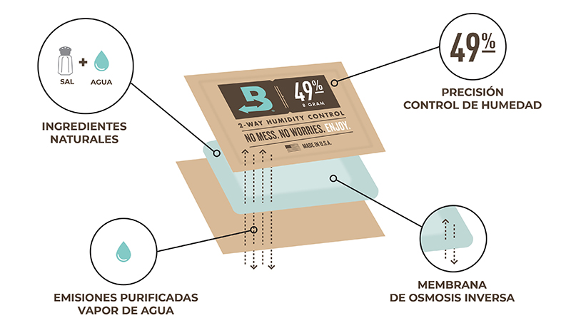 Nuevos productos Boveda